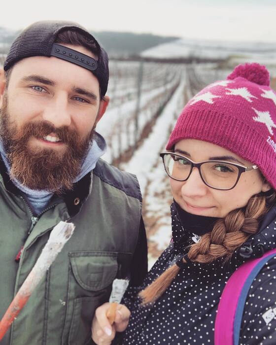 66 lahví | vinařství Gertner